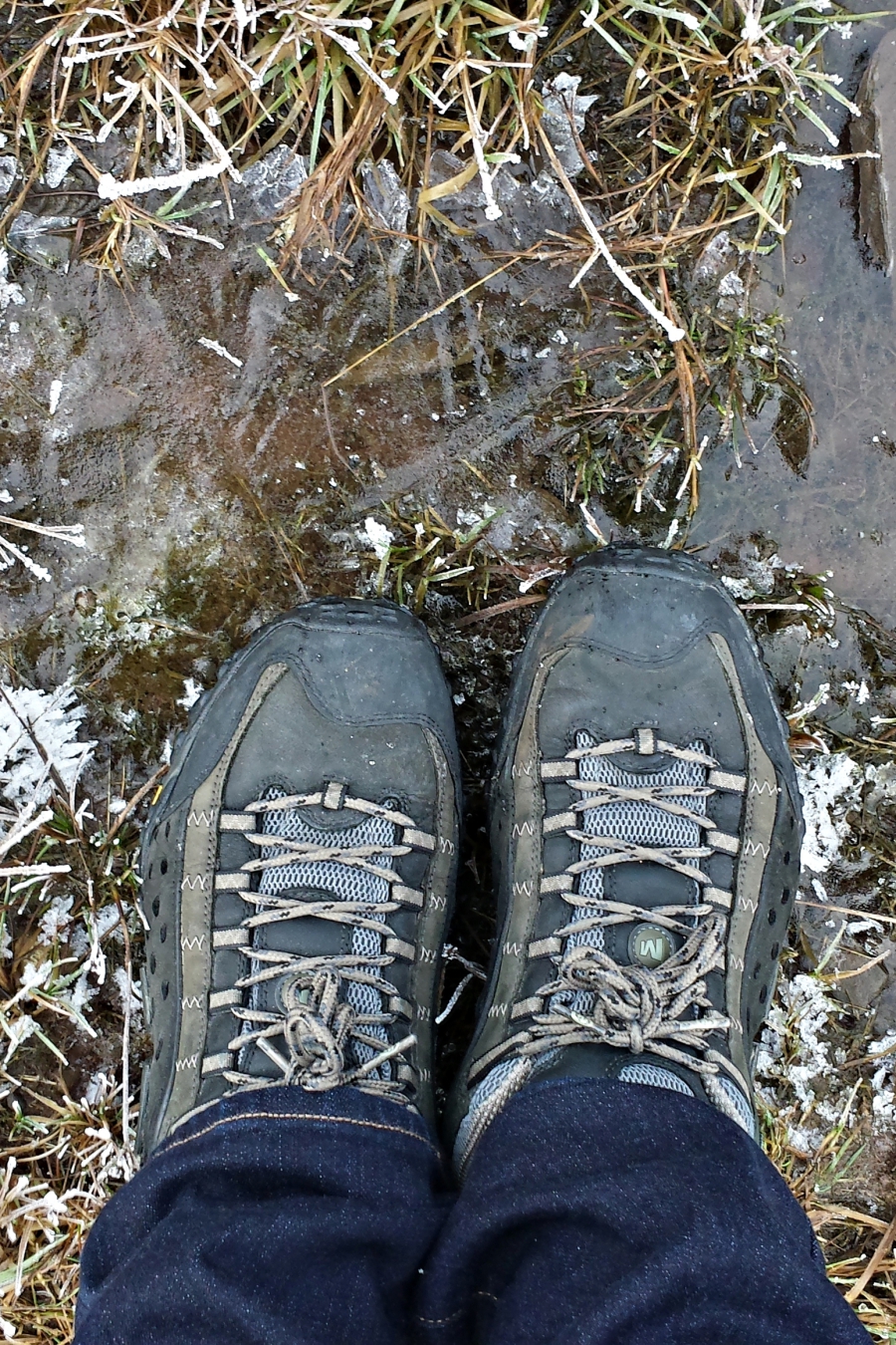 Places to See: Tynehead Regional Park (Perimeter Trail) - Discovering ...