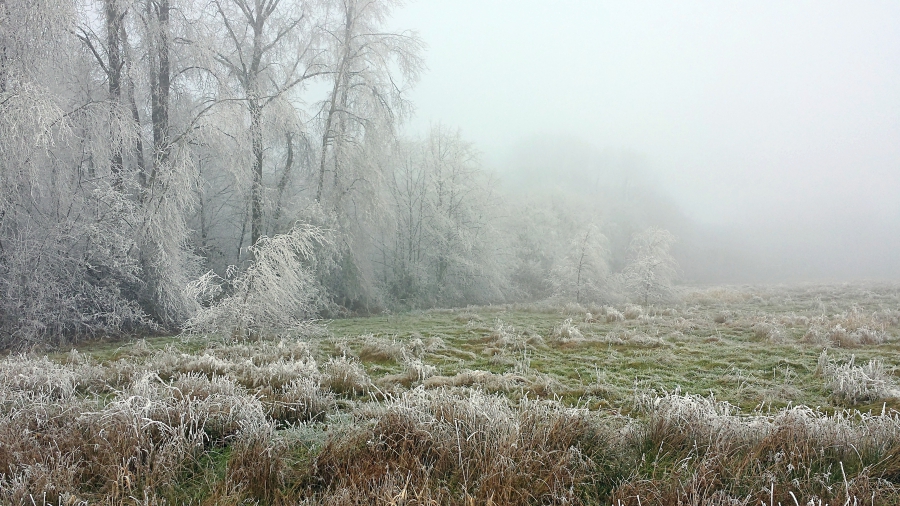 Places to See: Tynehead Regional Park (Perimeter Trail) - Discovering ...