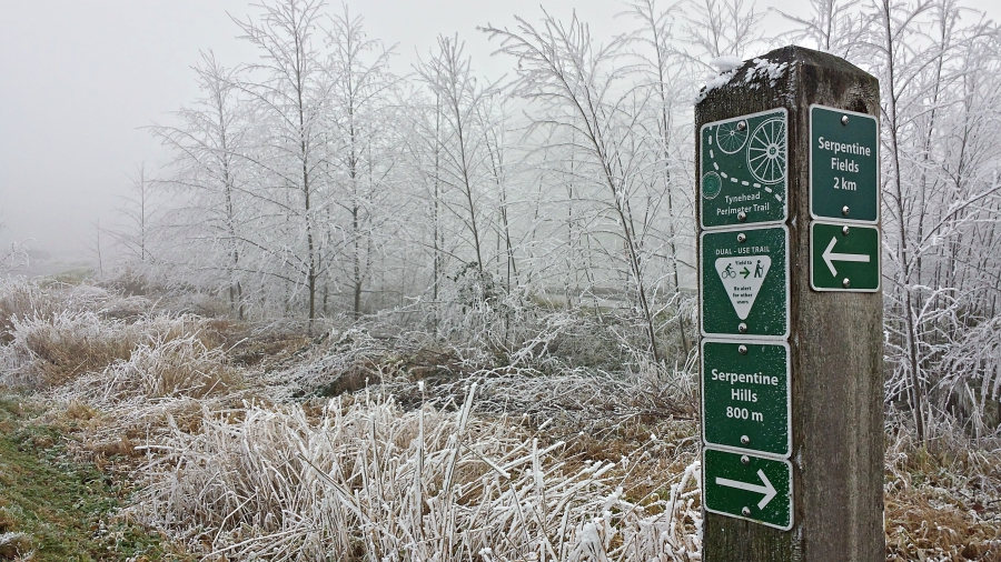 Places to See: Tynehead Regional Park (Perimeter Trail) - Discovering ...