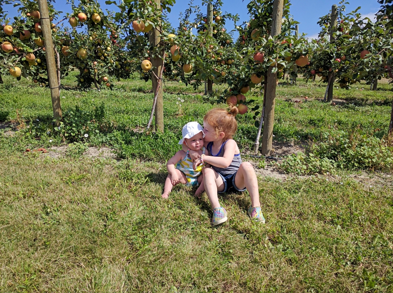 Places to See: Davison Orchards - Discovering Parenthood