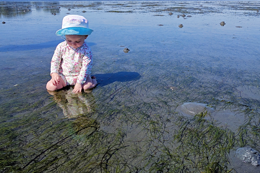 A look back on Summer 2016 through a Wordless Wednesday post.