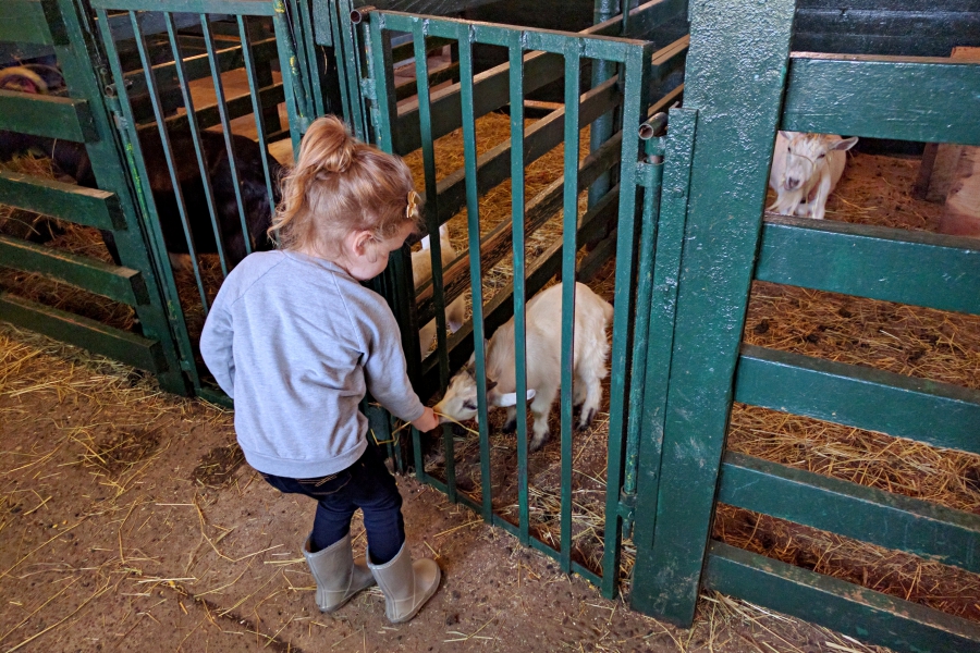 Places to See in the Fraser Valley: Willow View Farms