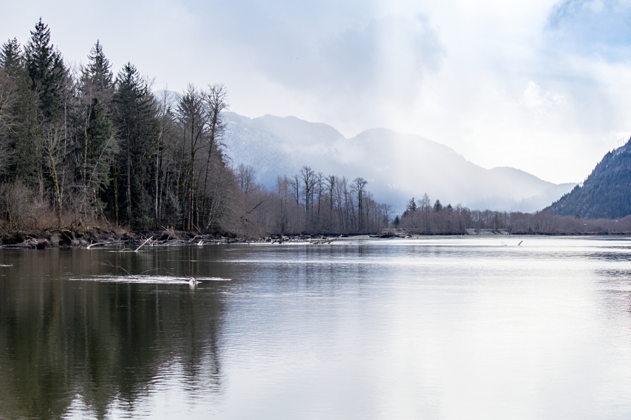 Places to See: Squamish River Estuary - Discovering Parenthood