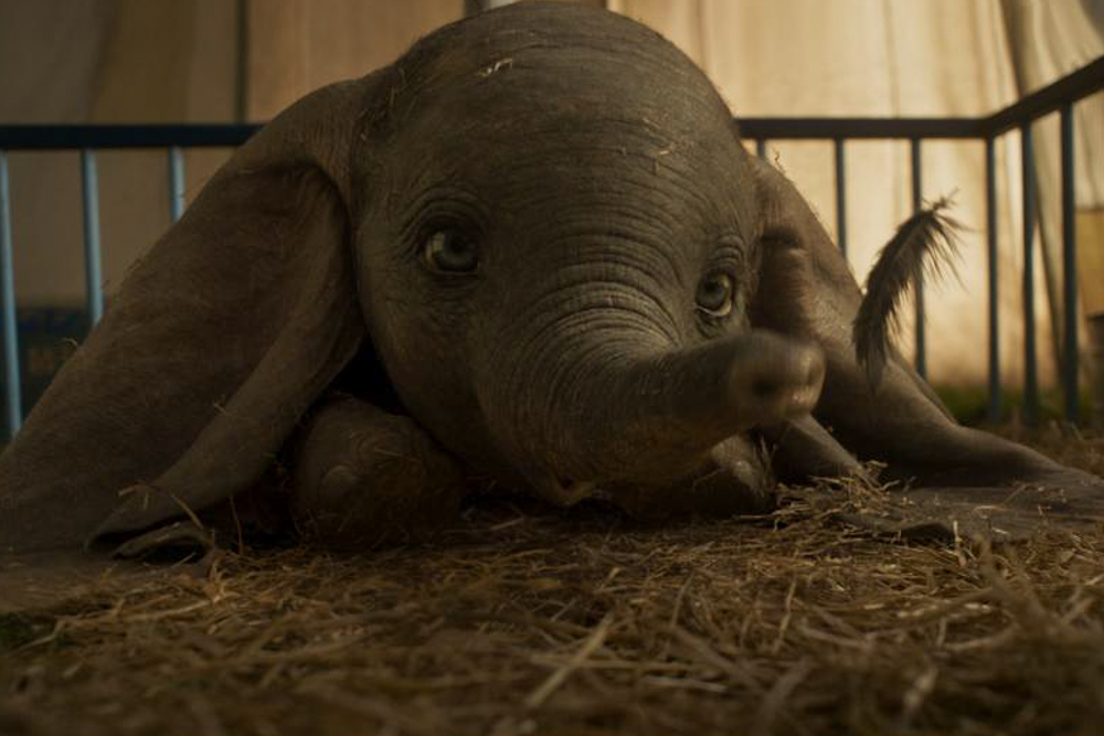 Dumbo and Cinderella: Anniversary Edition DVD and Blu-Ray Review
