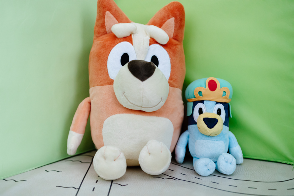 Continuing the Adventures with Bluey - Toy Review