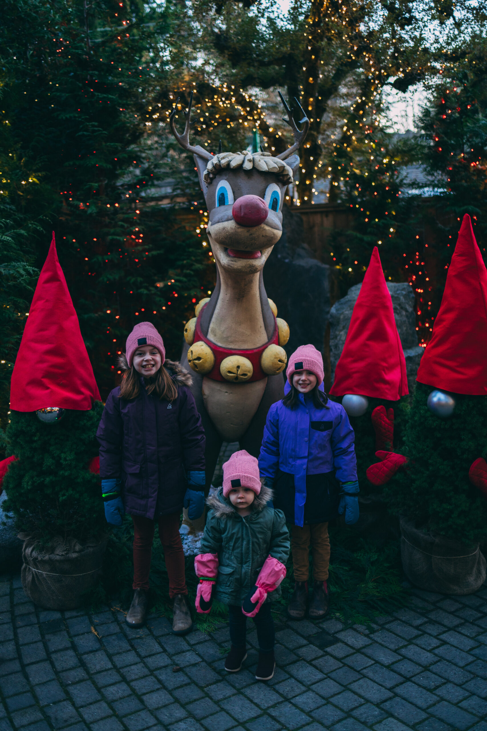 All The Lights At Canyon Lights Capilano Suspension Bridge