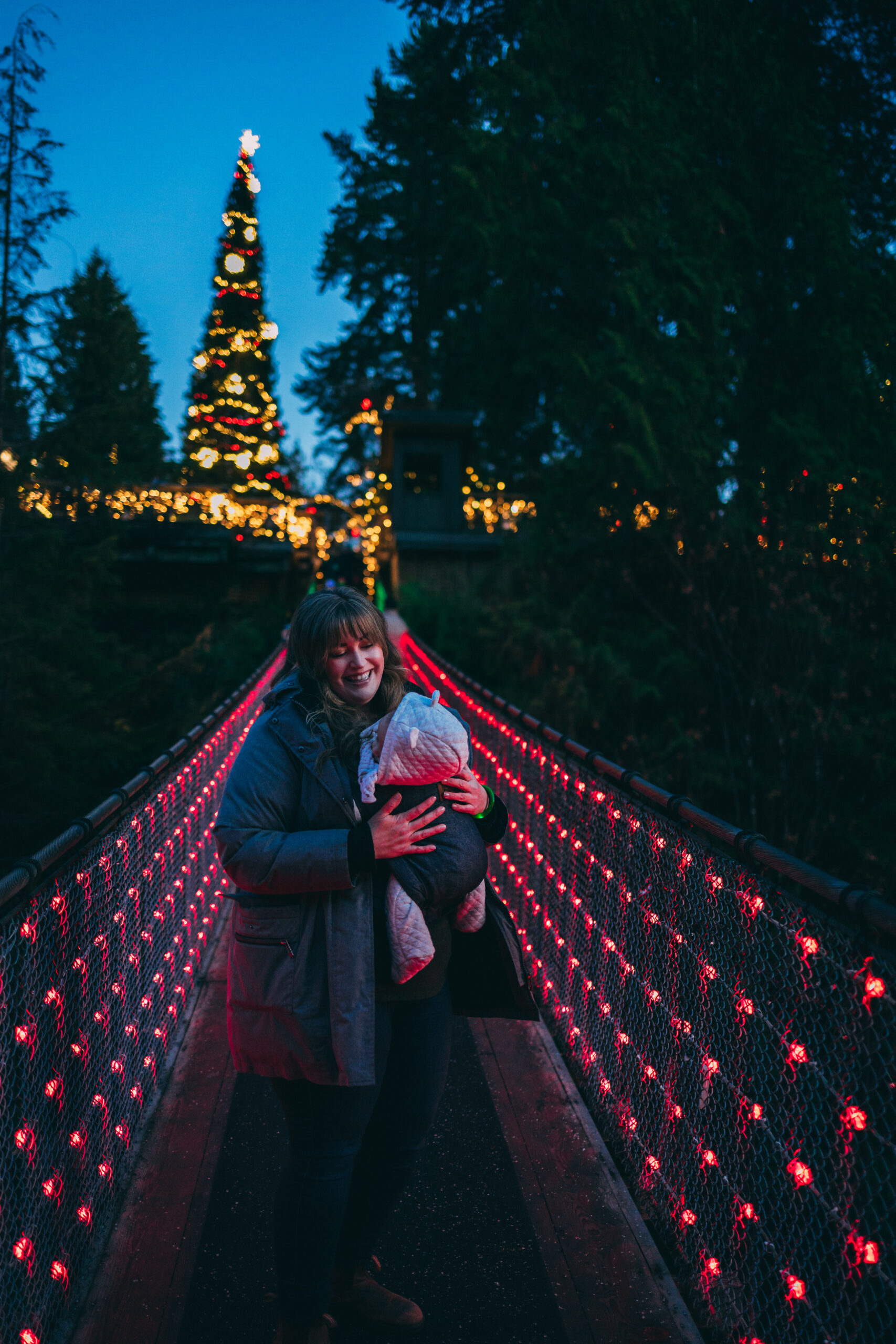 All The Lights At Canyon Lights Capilano Suspension Bridge