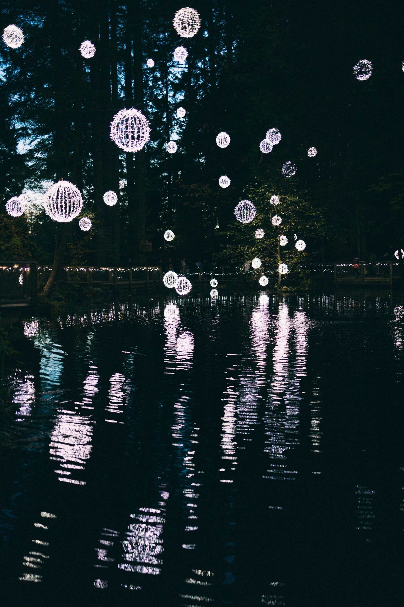 All The Lights At Canyon Lights Capilano Suspension Bridge